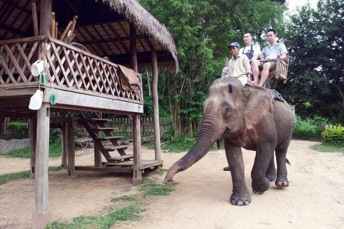 Luang Prabang Tours In Combination Of Elephant Riding