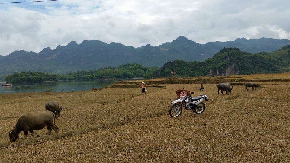 Hanoi Daily Motorbike Tour to Bat Trang, Dong Ho, Tho Ha Villages